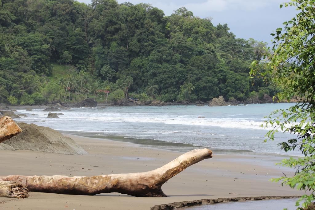 Nuquí, lánzate a esta aventura en el mar pacífico colombiano