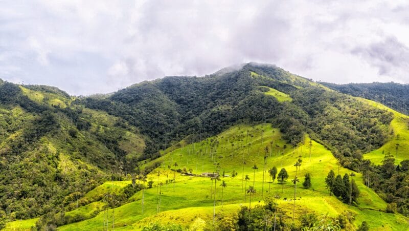 Paquetes de Viajes a Colombia