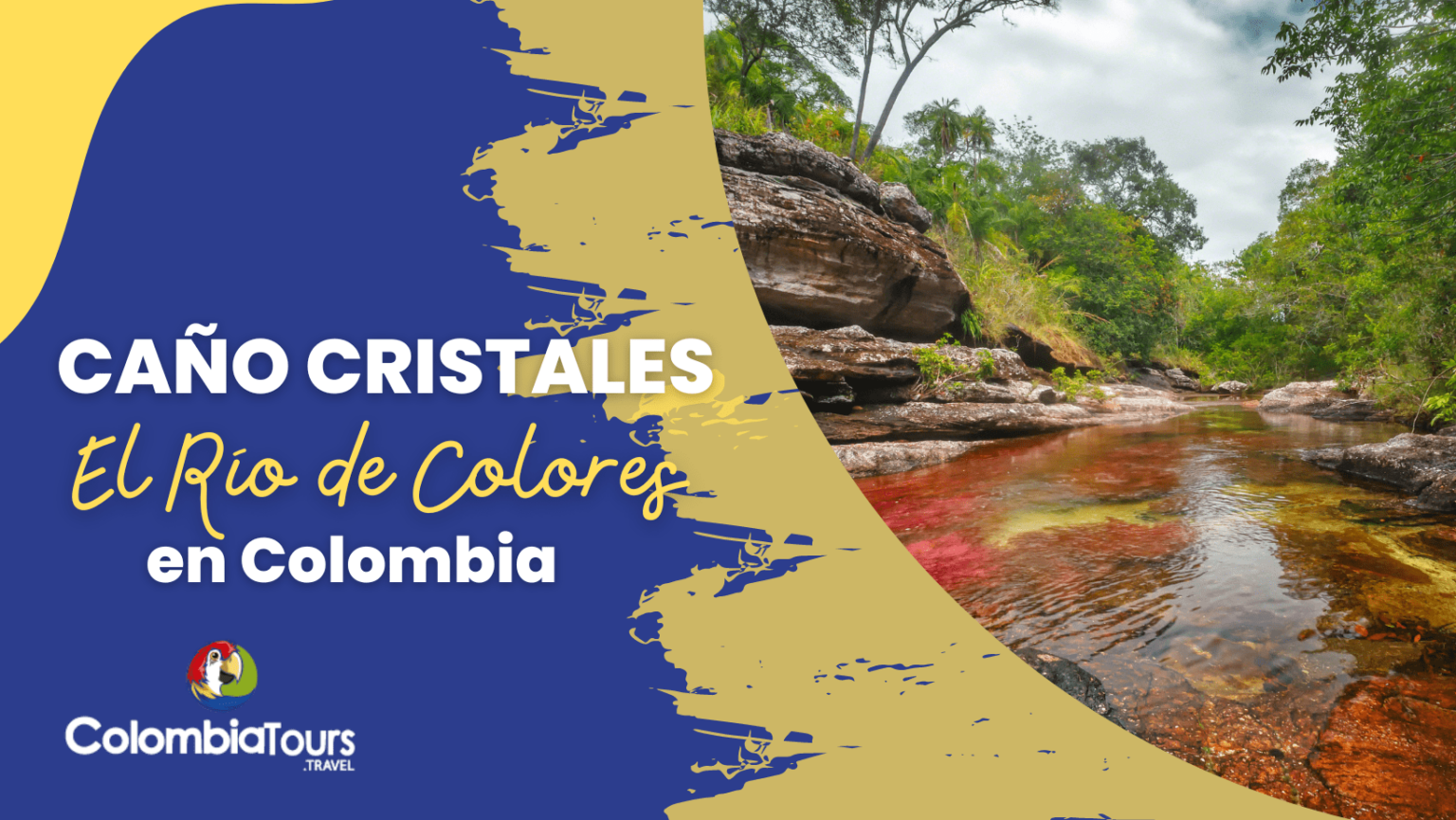 Descubre Caño Cristales: el río de colores en Colombia • ColombiaTours ...